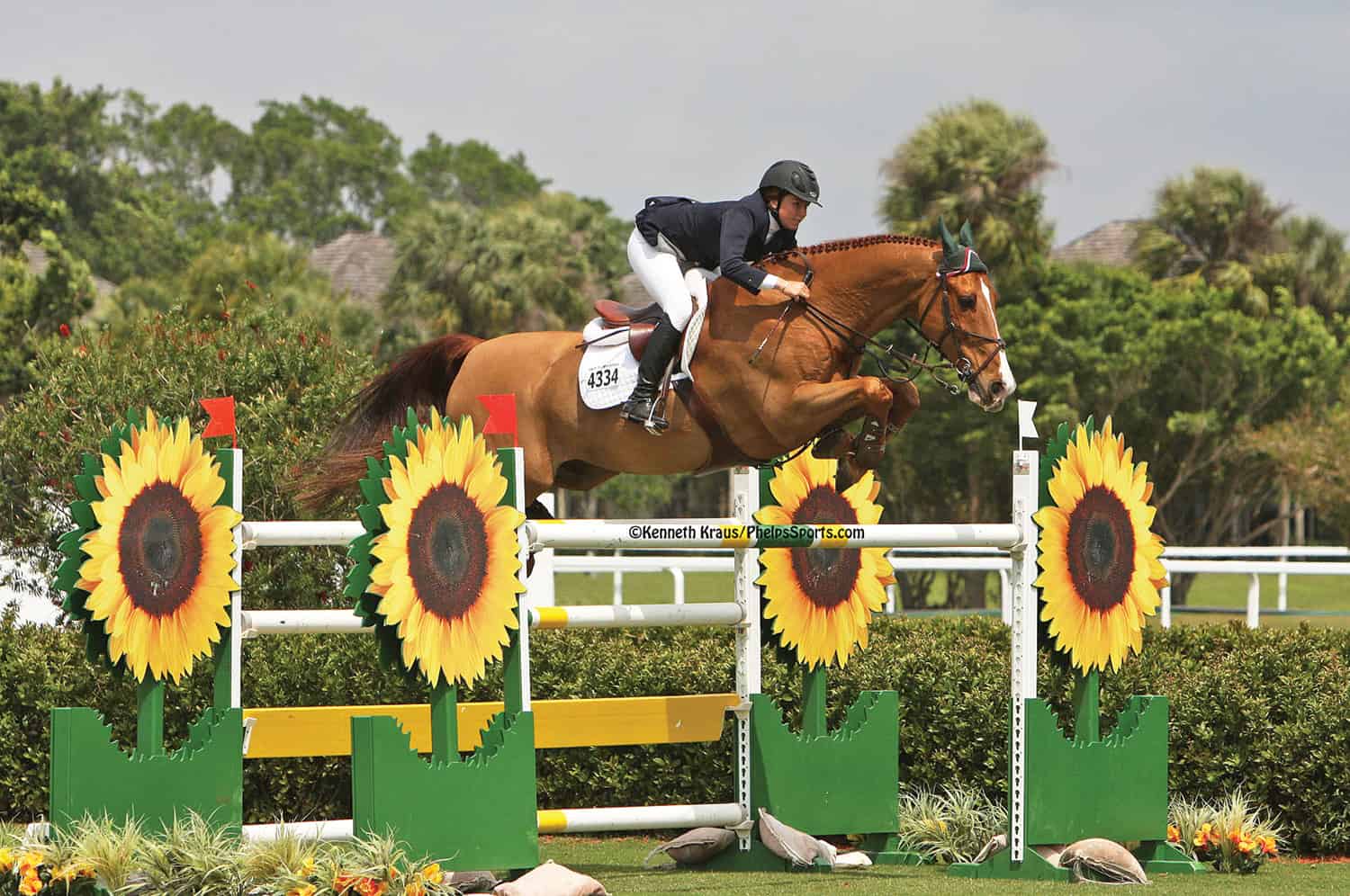 Maxine Beard Show Jumping Award | USET Foundation