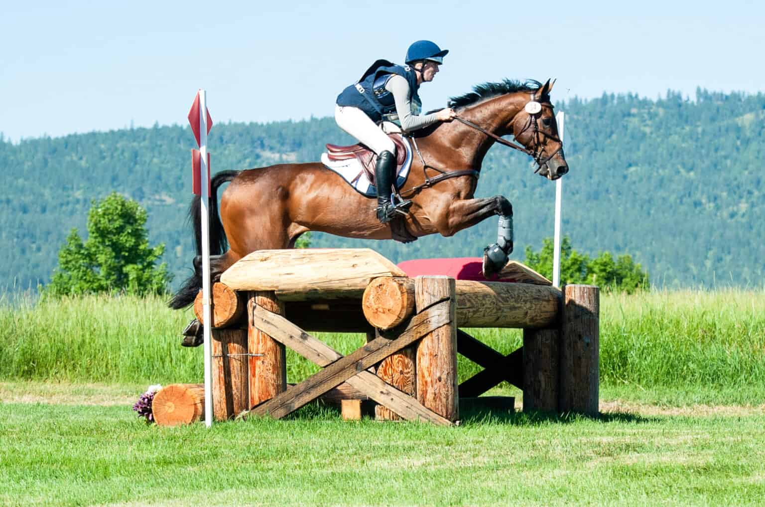 Meg Pellegrini Receives the USET Foundation's 2023 Amanda Pirie ...