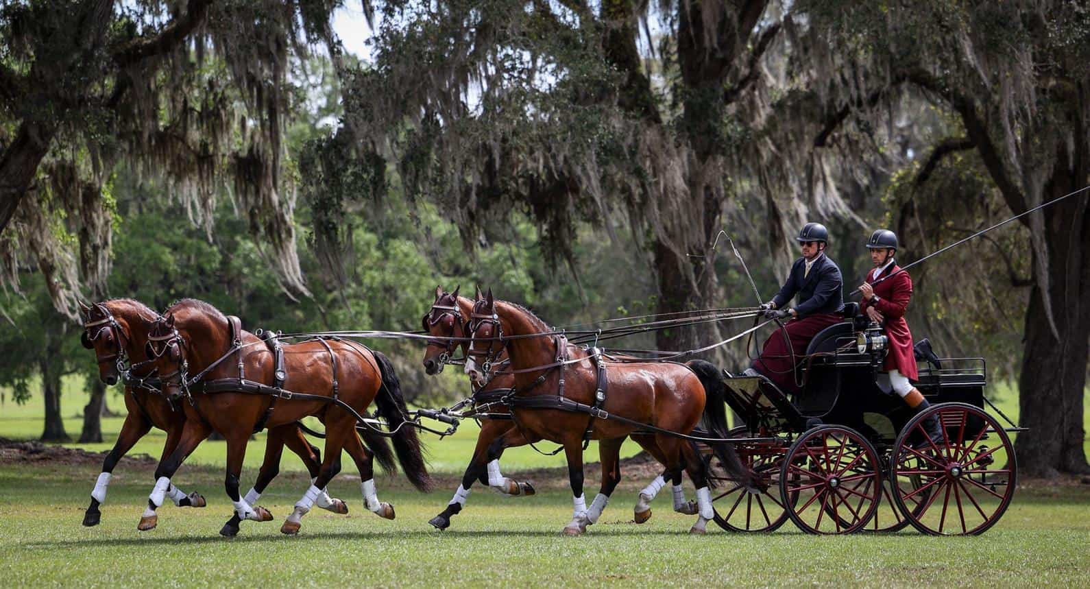 Chester Weber Wins His 20th USEF Combined Driving National Championship ...